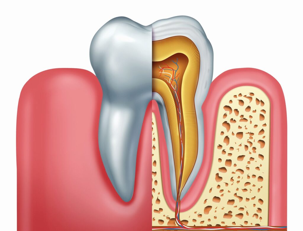 Endodontics in Winnipeg | Endodontics Near Me | Dental Dreams